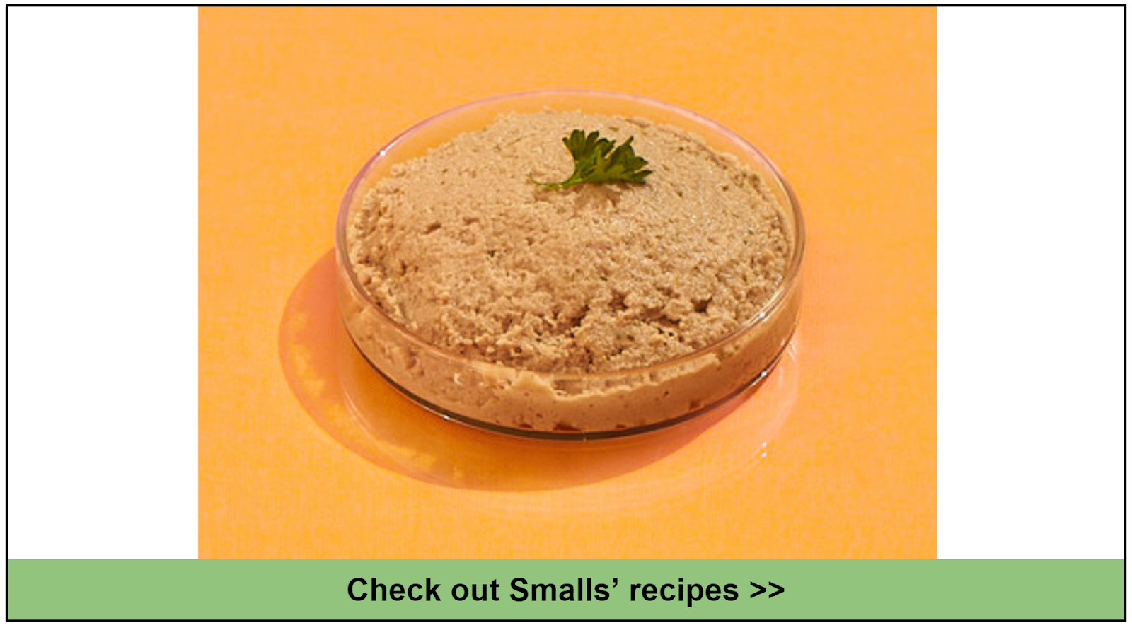 8 Best Low Phosphorus Cat Food Options2024