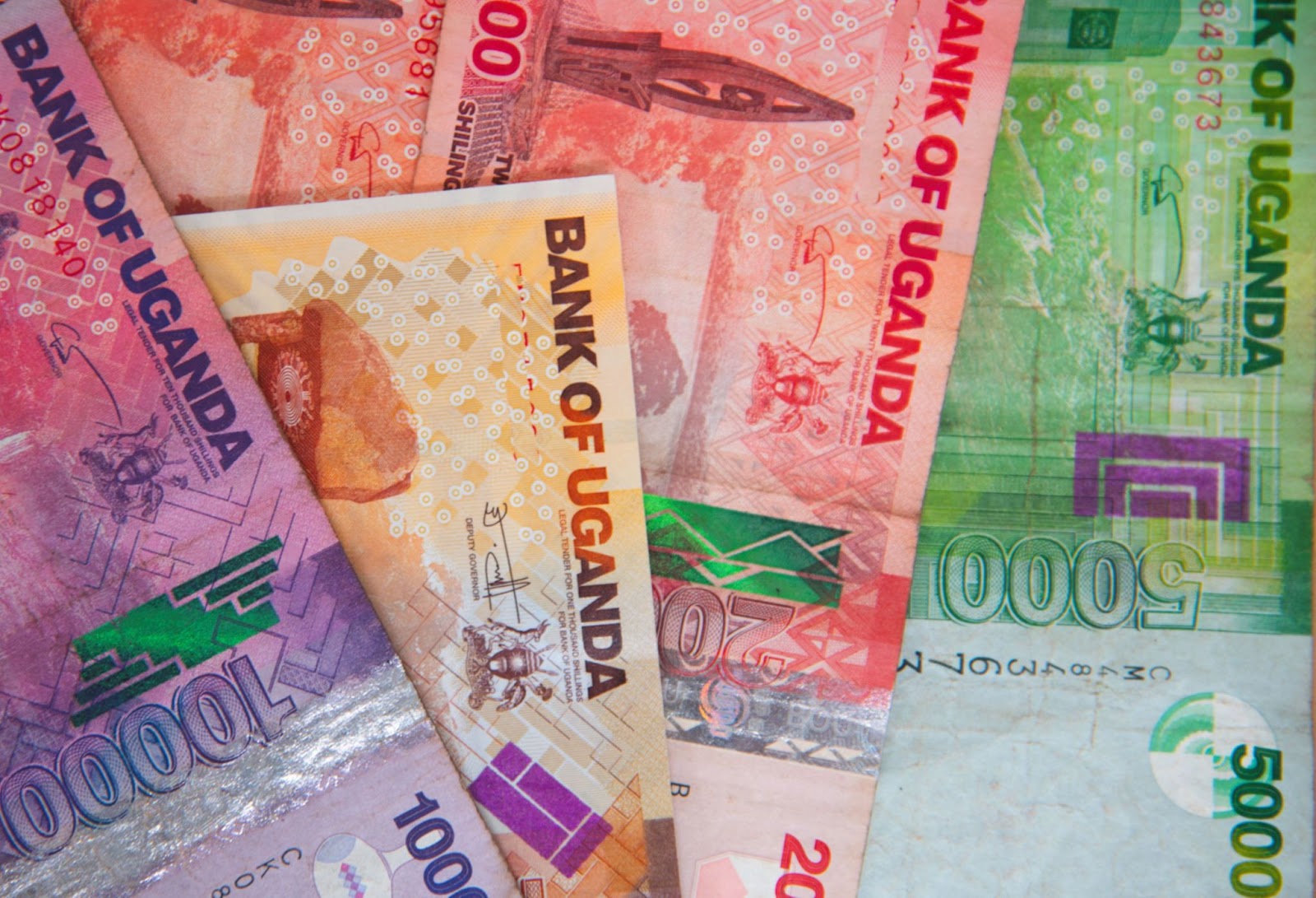 Top 10 Weakest Currencies In The World In 2024 Forbes Advisor India