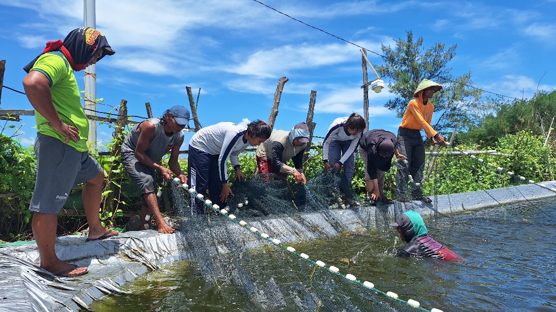 Program Magang Merdeka Belajar Kampus Merdeka (MB-KM) Tingkatkan ... Program Magang Merdeka Belajar Kampus Merdeka (MB-KM) Tingkatkan ...