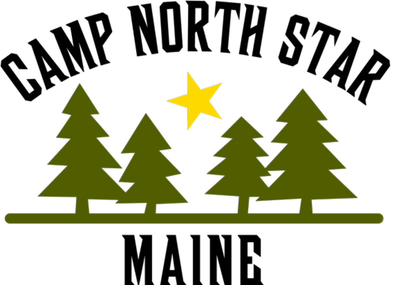 Sleepaway Camp Camp North Star