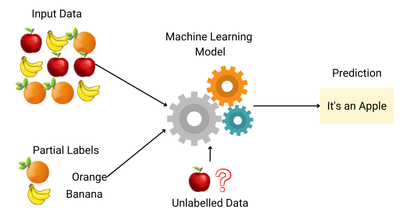 4 Perbedaan Self dan Semi-Supervised Learning 4 Perbedaan Self dan Semi-Supervised Learning